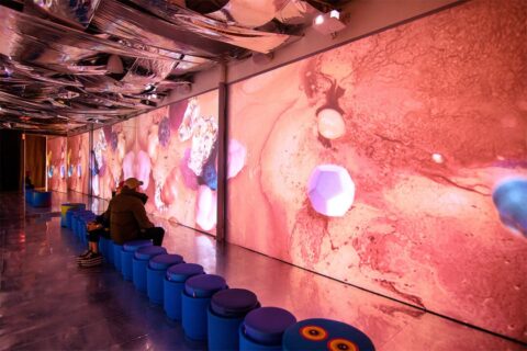 23 Things To Do in Chicago with Kids - 360 Chicago