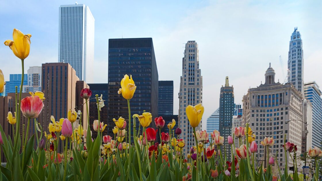 Chicago Spring Break: 16 Fun Family Activities for 2024