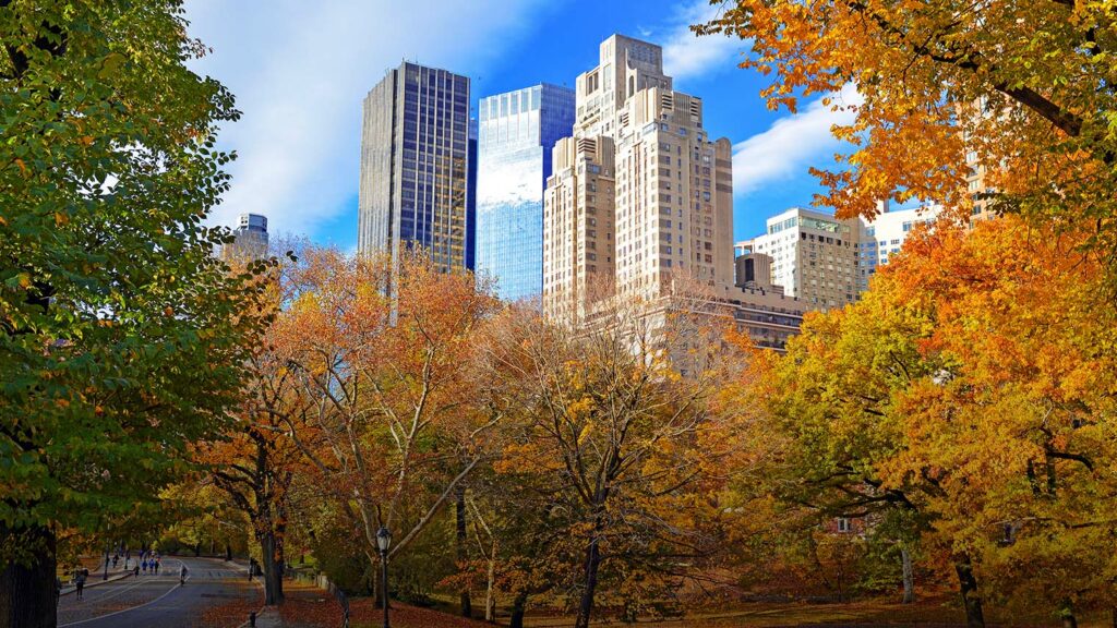 Fall in Chicago: The Best Chicago Fall Activities & Sights | 360 Chicago