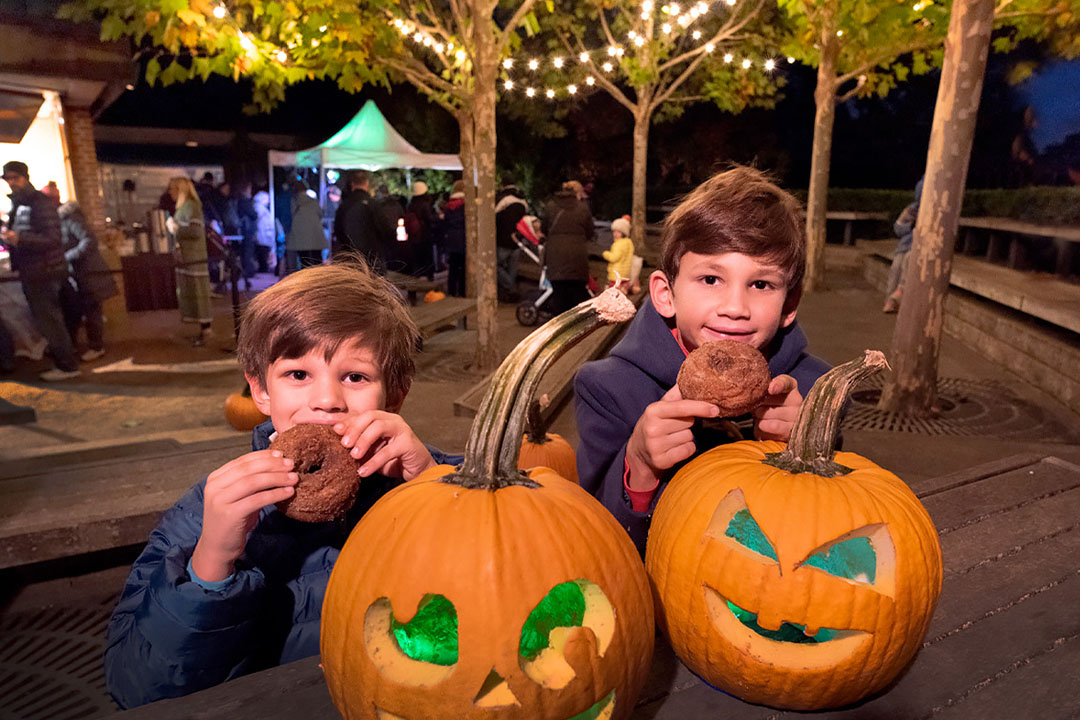 Fall in Chicago: The Best Chicago Fall Activities & Sights | 360 Chicago