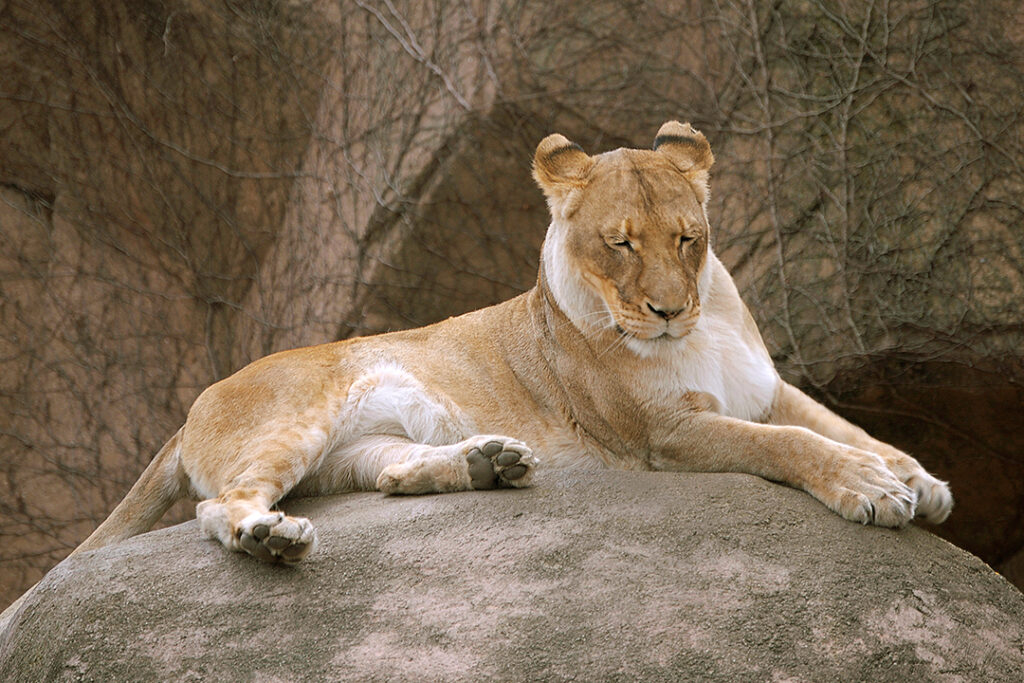 30 Unforgettable Date Night Ideas in Chicago | 360 CHICAGO