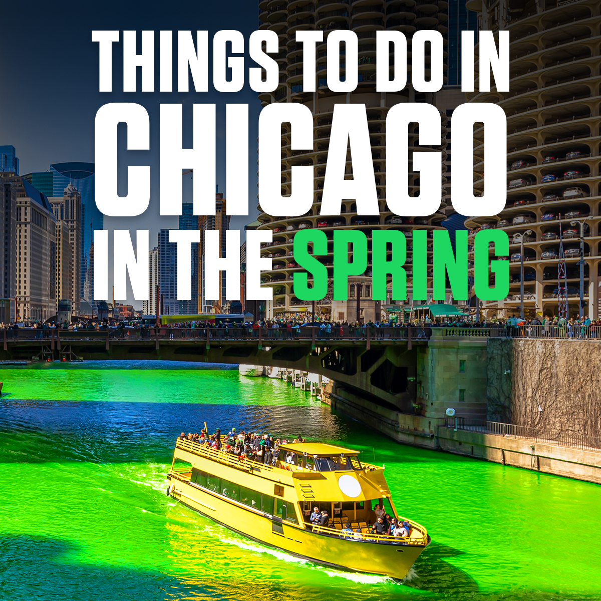 Chicago Spring Activities: Things to Do in Chicago in Spring